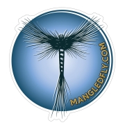 BLOG - Northern Michigan | Guide Service | Steelhead Fishing