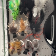 Mangled Fly | Northern Michigan Guide Service | Steelhead and Trout