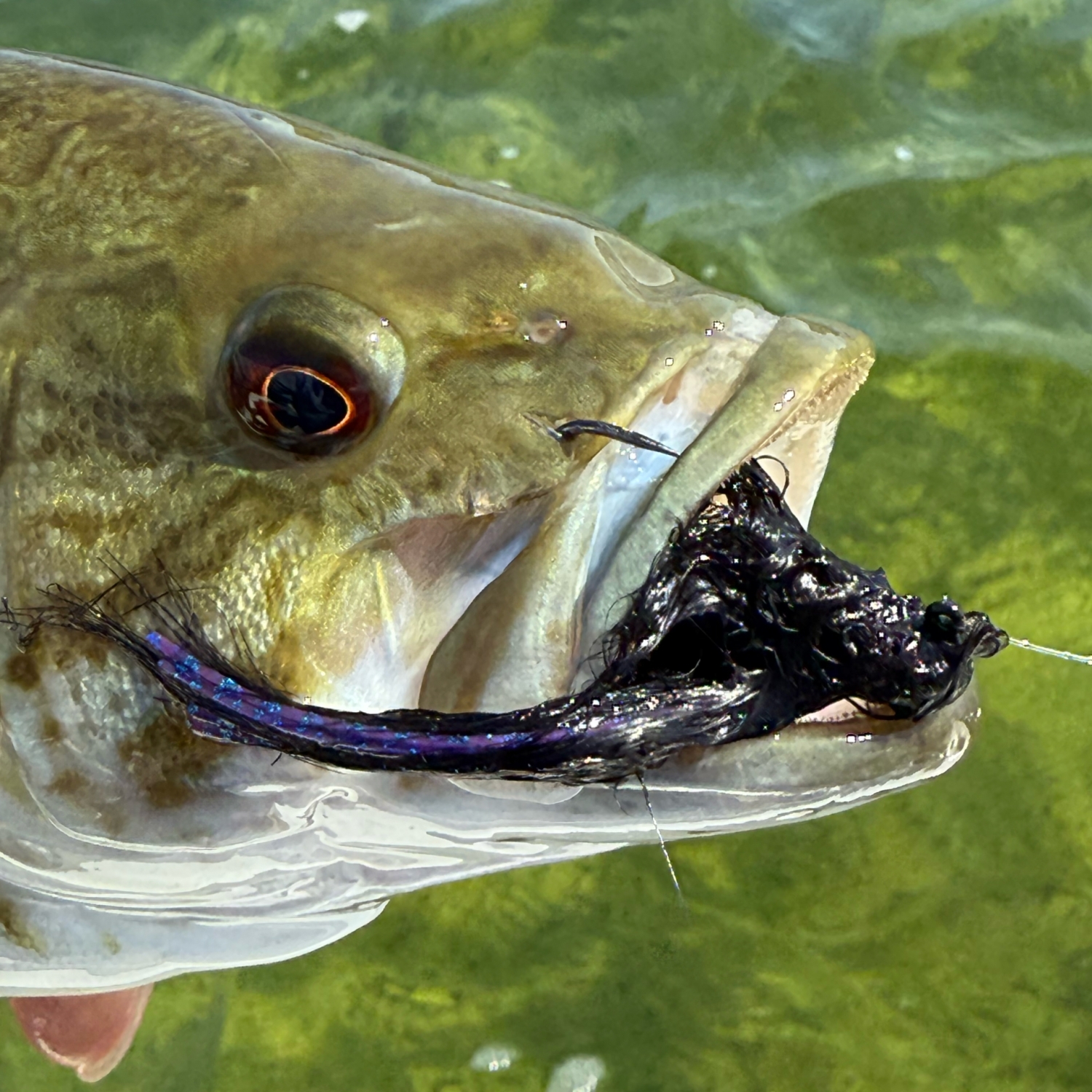 BLOG - Northern Michigan | Guide Service | Steelhead Fishing