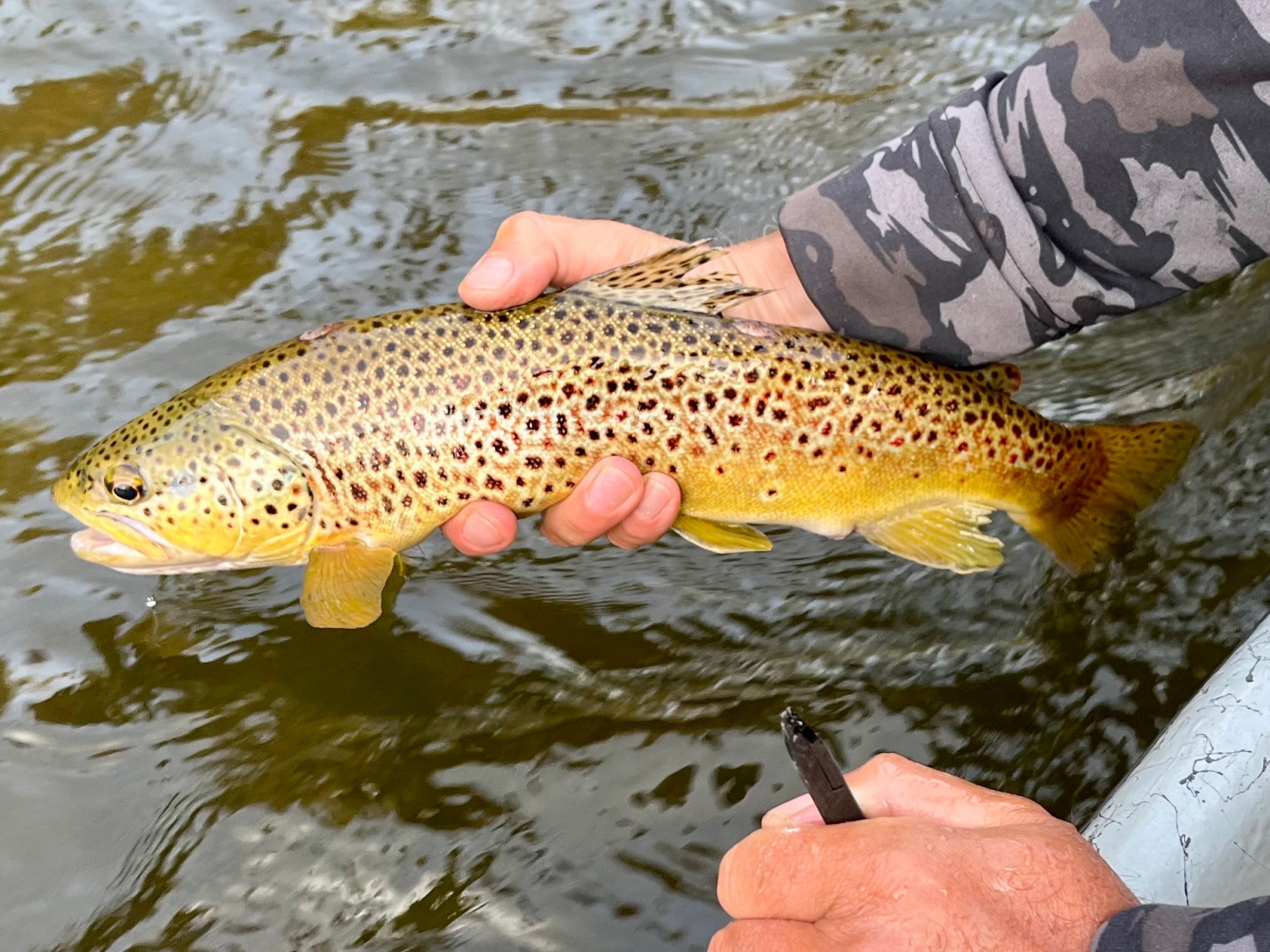 BLOG - Northern Michigan | Guide Service | Steelhead Fishing